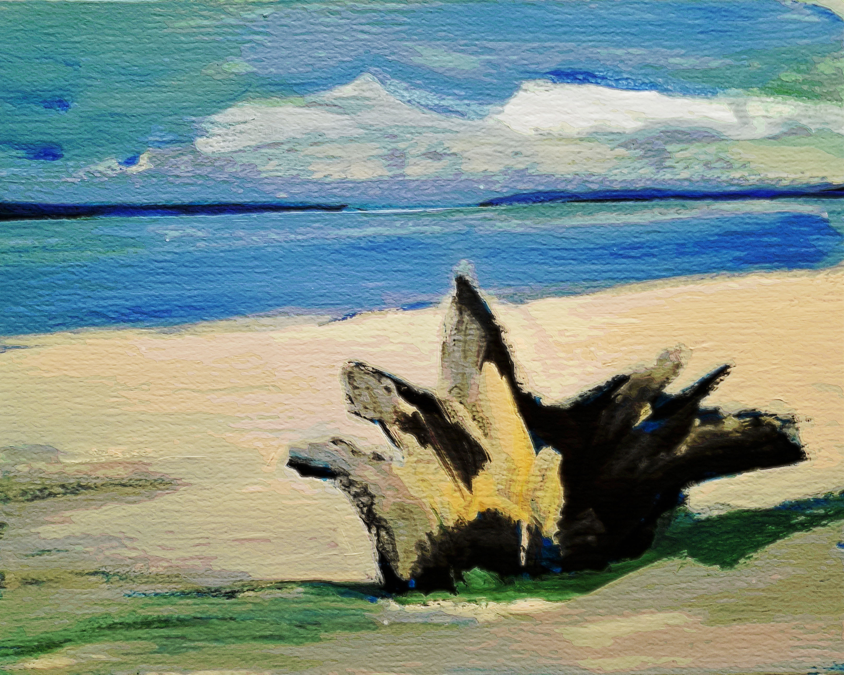 The Sea – Kim Roth